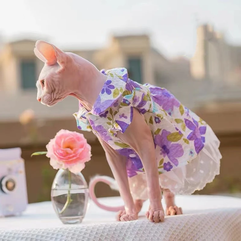 Summer-Sphinx-Pet-Cat-Dresses-Princess-Clothes-For-Sphynx-Cat-Kitten ...