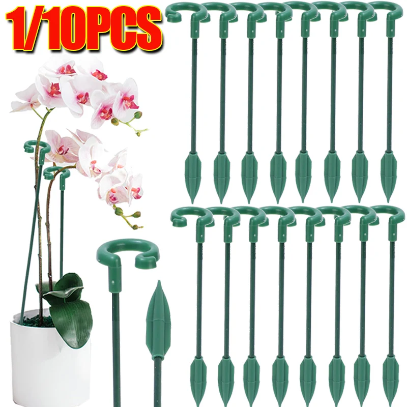 1-10PCS-Plant-Support-Poles-Potted-Phalaenopsis-Single-Stem-Flower ...