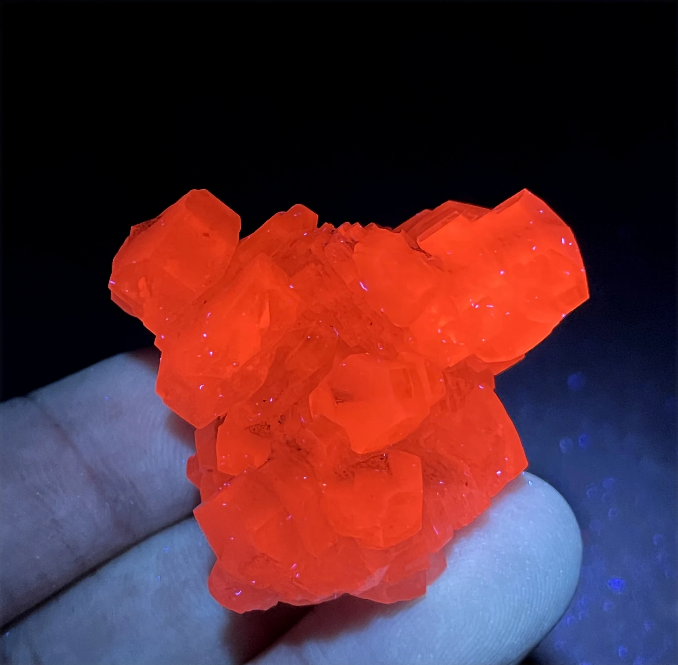 Store Home Products Feedback