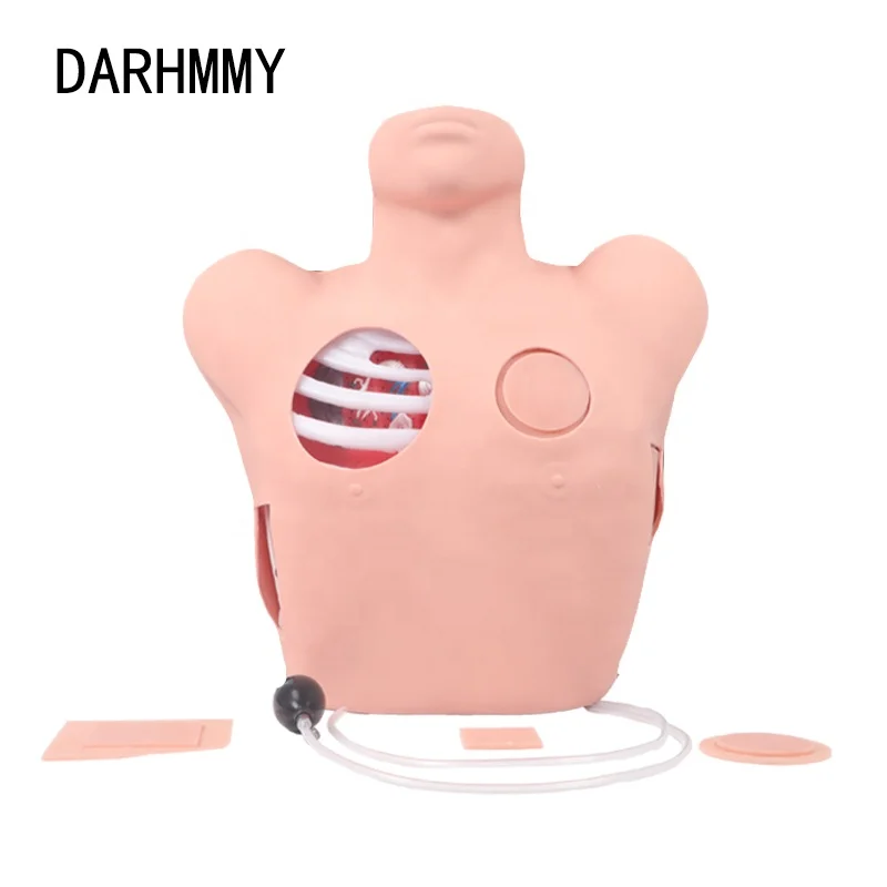 DARHMMY-Pleural-Drainage-Simulator-Thoracentesis-Drainage-Model-Chest ...