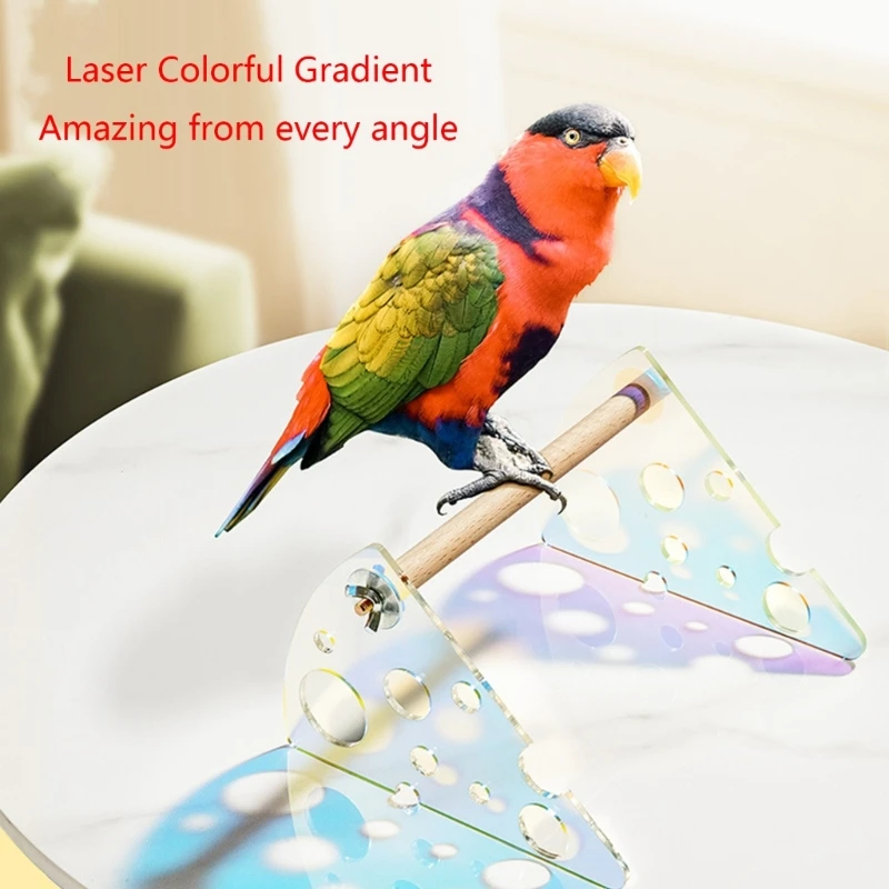 Parrot-Stand-Perch-Bird-Perch-Bird-Training-Stand-Parrot-Desktop-Stand ...