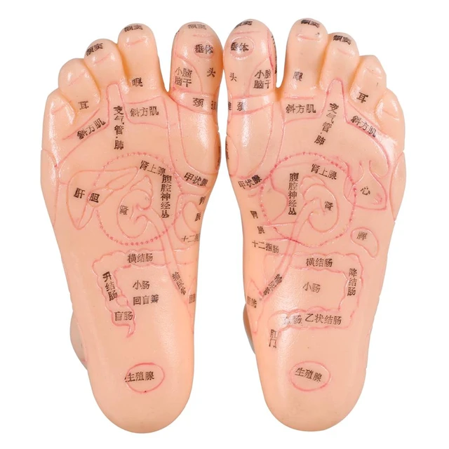 Acupuncture Points Foot