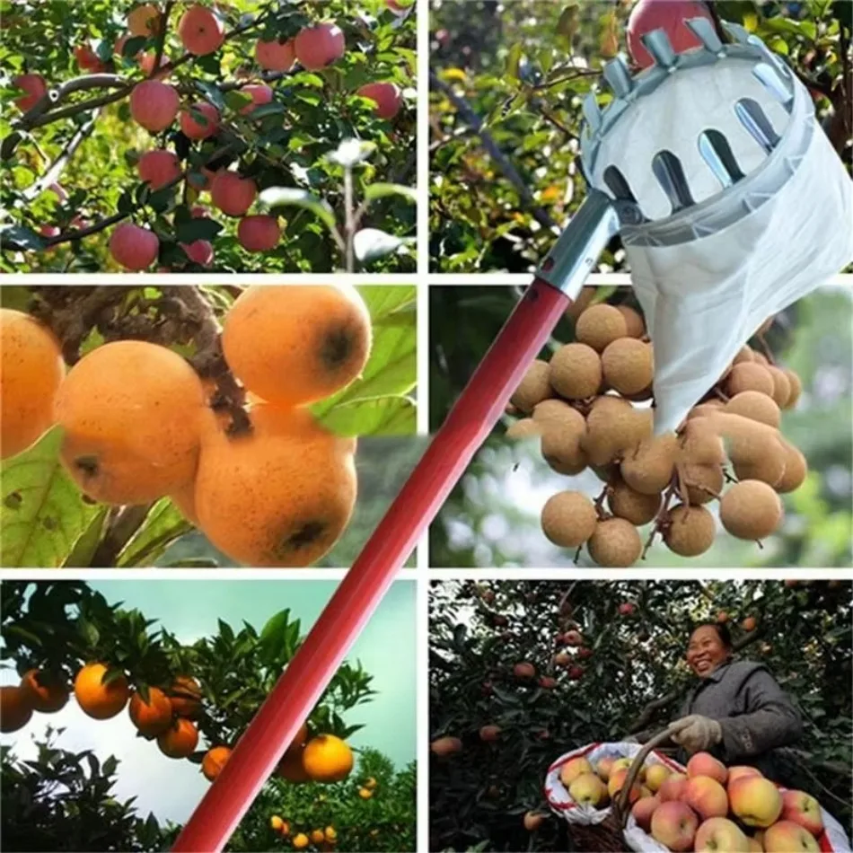 Multi Purpose Telescopic Galvanized Iron Fruit Picker for Garden ...