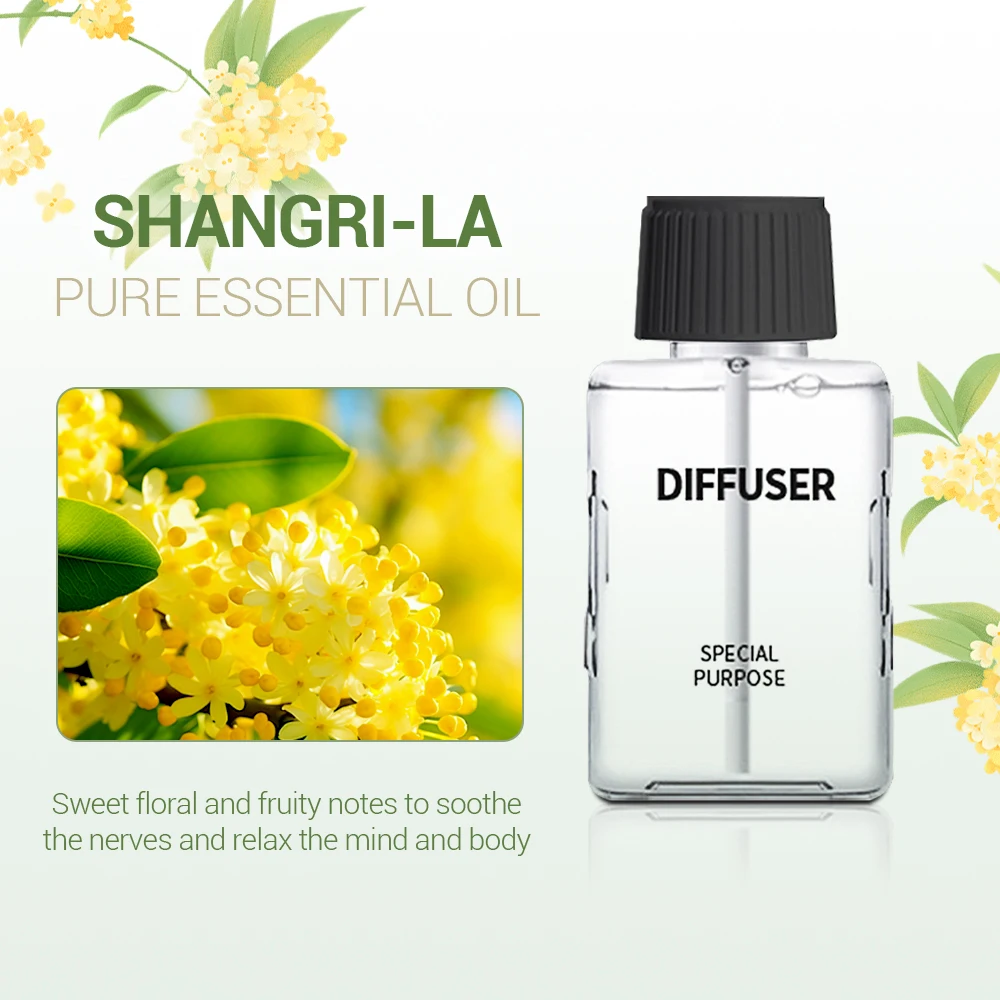 3-5-Pcs-Essential-Oils-for-Diffuser-Air-Freshener-Room-Spray-Perfume ...