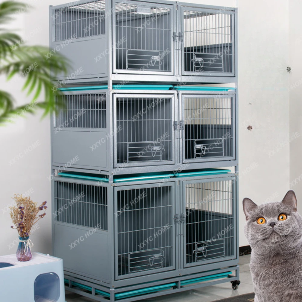 Pet-Shop-Grey-Cage-Dog-Crate-Cat-Display-interior-vidro-comercial ...