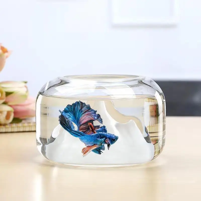 Betta Fish Bowl Bottle