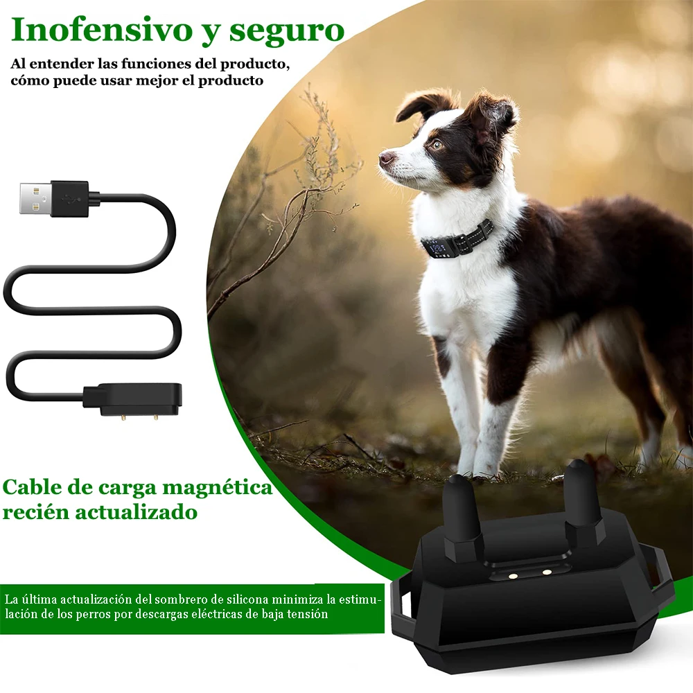 Son Seguros Los Cables Para Perros