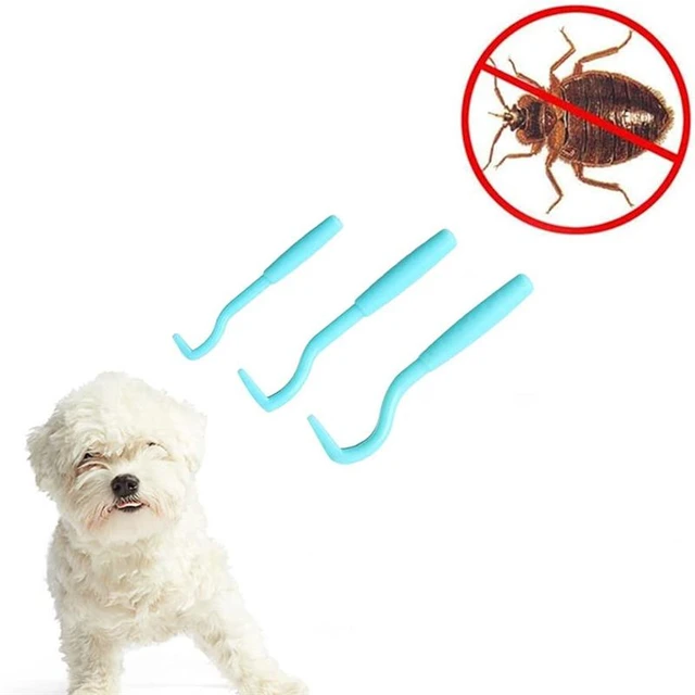 Tick Removal From Humans