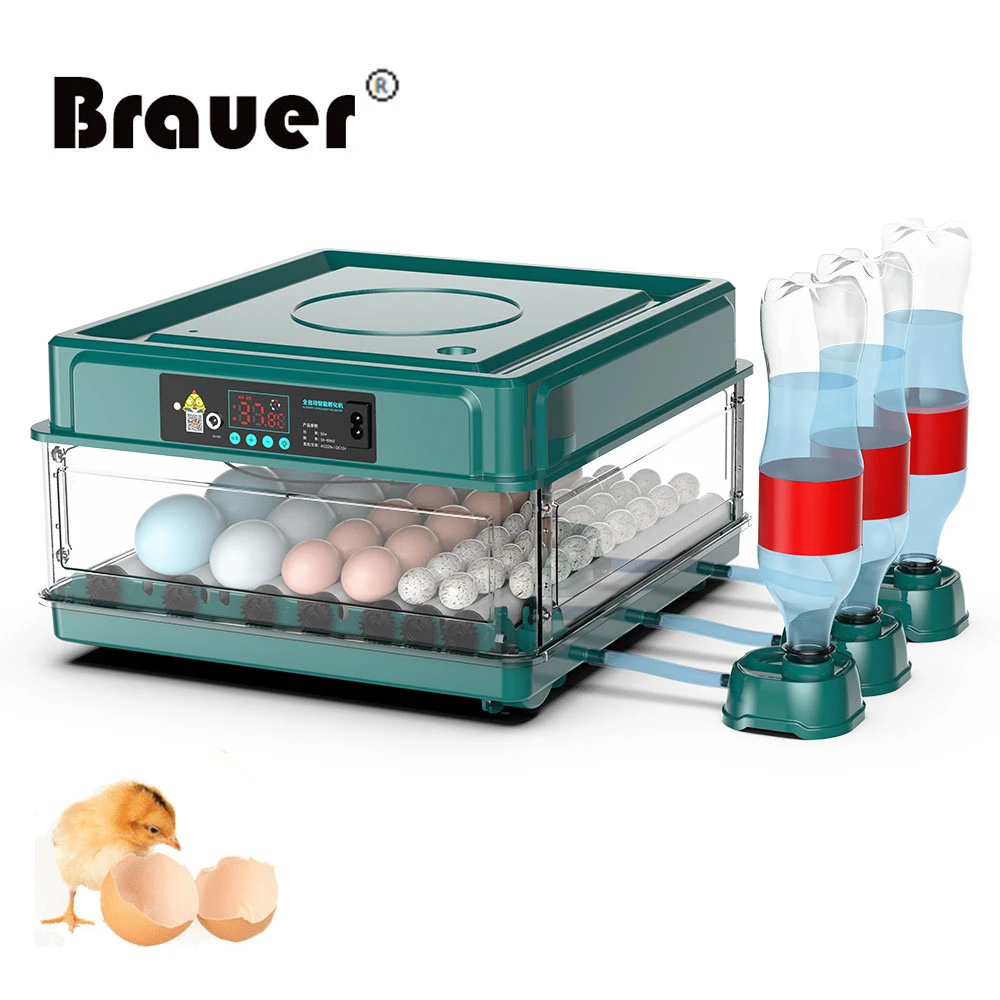 Free Range Eggs 48 Eggs Incubator Fully Automatic Turning Hatching ...