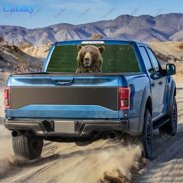 Pick Up Window Graphics