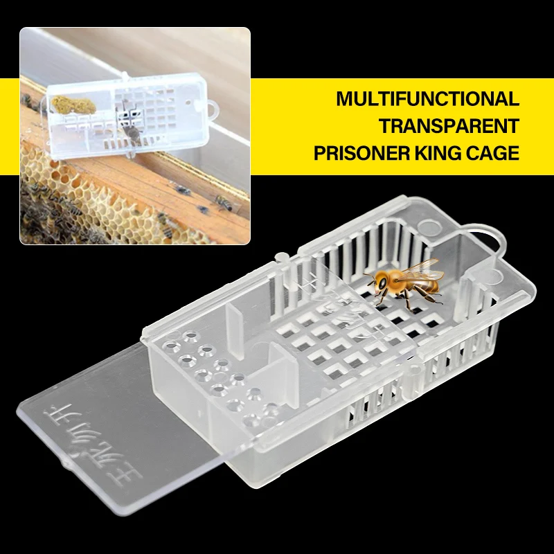 10-Pcs-Queen-Bee-Cages-Transparent-Push-pull-Queen-Cage-Bee-Transport ...