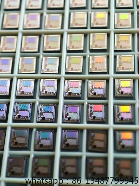 Bare-die-with-pad-chip-on-diced-wafer-silicon-wafer.jpg