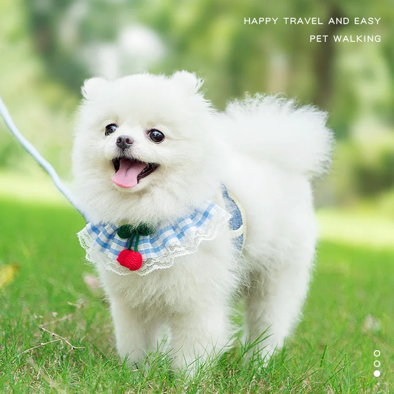 Cute Dog Chest Strap Dog Traction Rope Walking Cats Rope Teddy Small ...