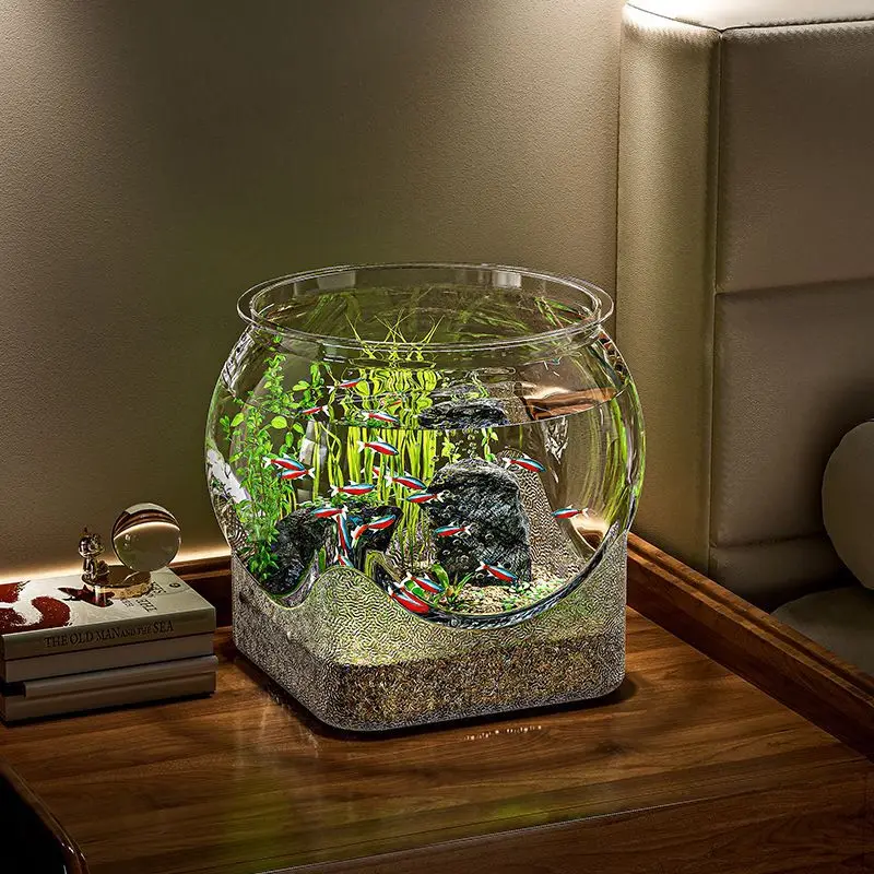 A Sturdy and Beautiful Small Ecological Fish Tank for Fighting Fish and ...