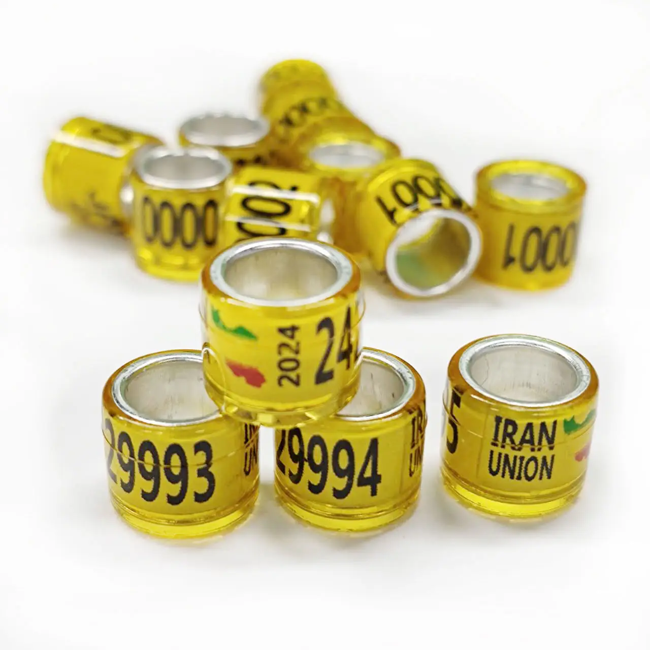 FCI-2024-pigeon-competition-ID-plates-8mm-racing-pigeon-rings-with-logo ...