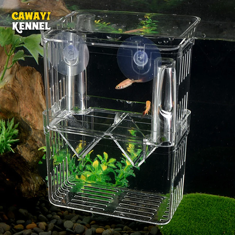 Suspended-Multifunctional-Guppy-Breeding-Box-Fish-Tank-Acrylic ...