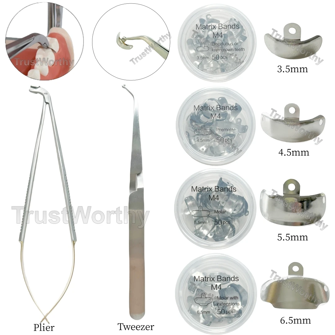 Dental Sectional Matrix 3D Matrices Hole Band Protrusions Matrice ...