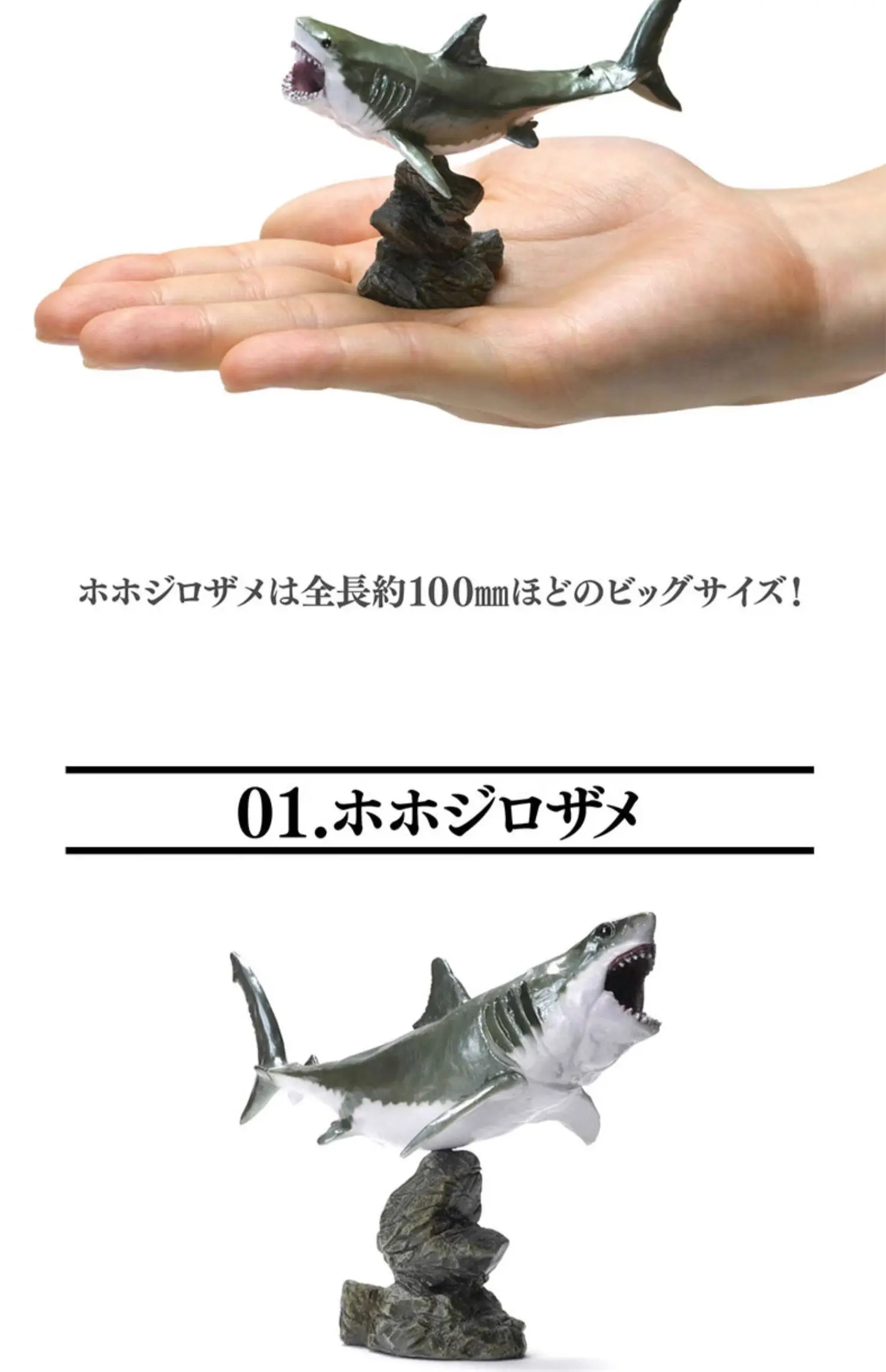 BANDAI-Mini requin Gashapon Egg Big Seattle Map of Carcharodon Carpros ...