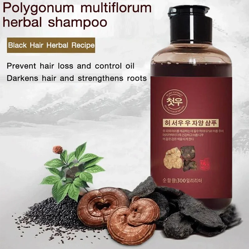 300ML-Polygonum-multiflorum-white-to-black-shampoo-Herbal-Polygonum ...
