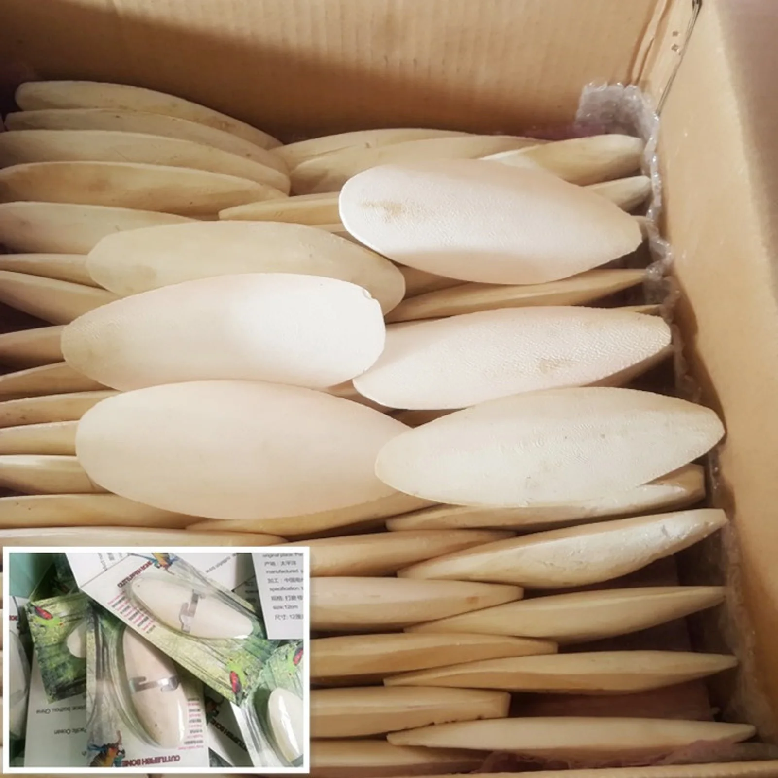 10pcs Cuttlebone for Parakeets Cuttle Bone with Metal Holder Birds ...