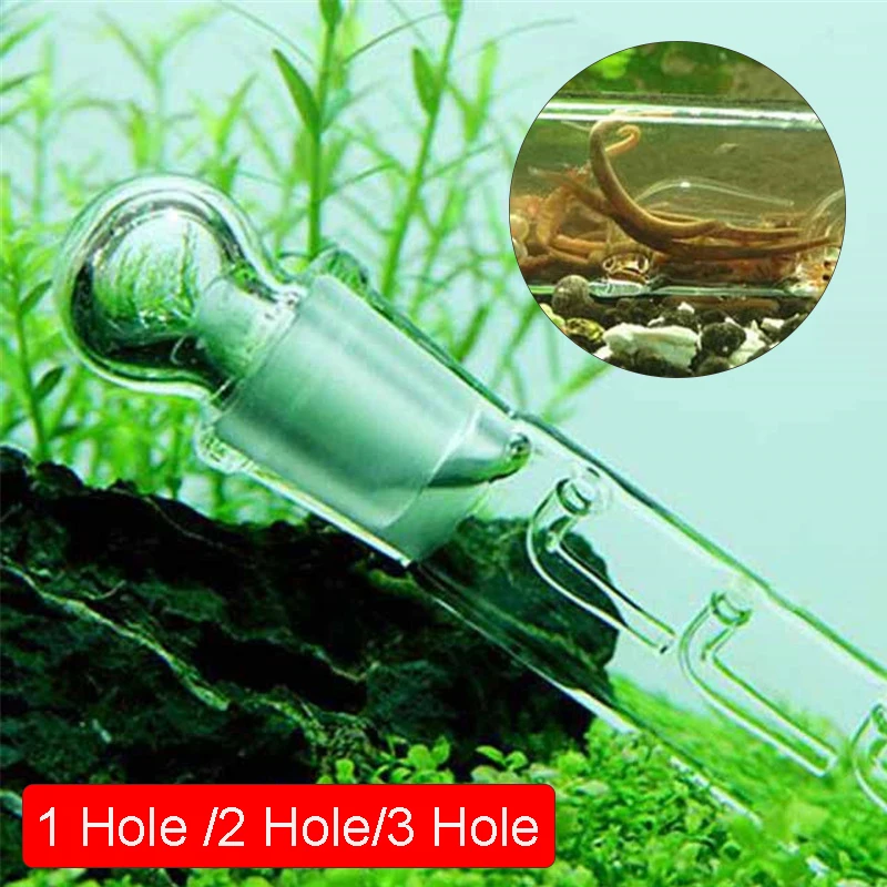 1PC-Aquarium-Pest-Trap-Fish-Tank-Clear-Glass-Catch-Trap-For-Cherry ...