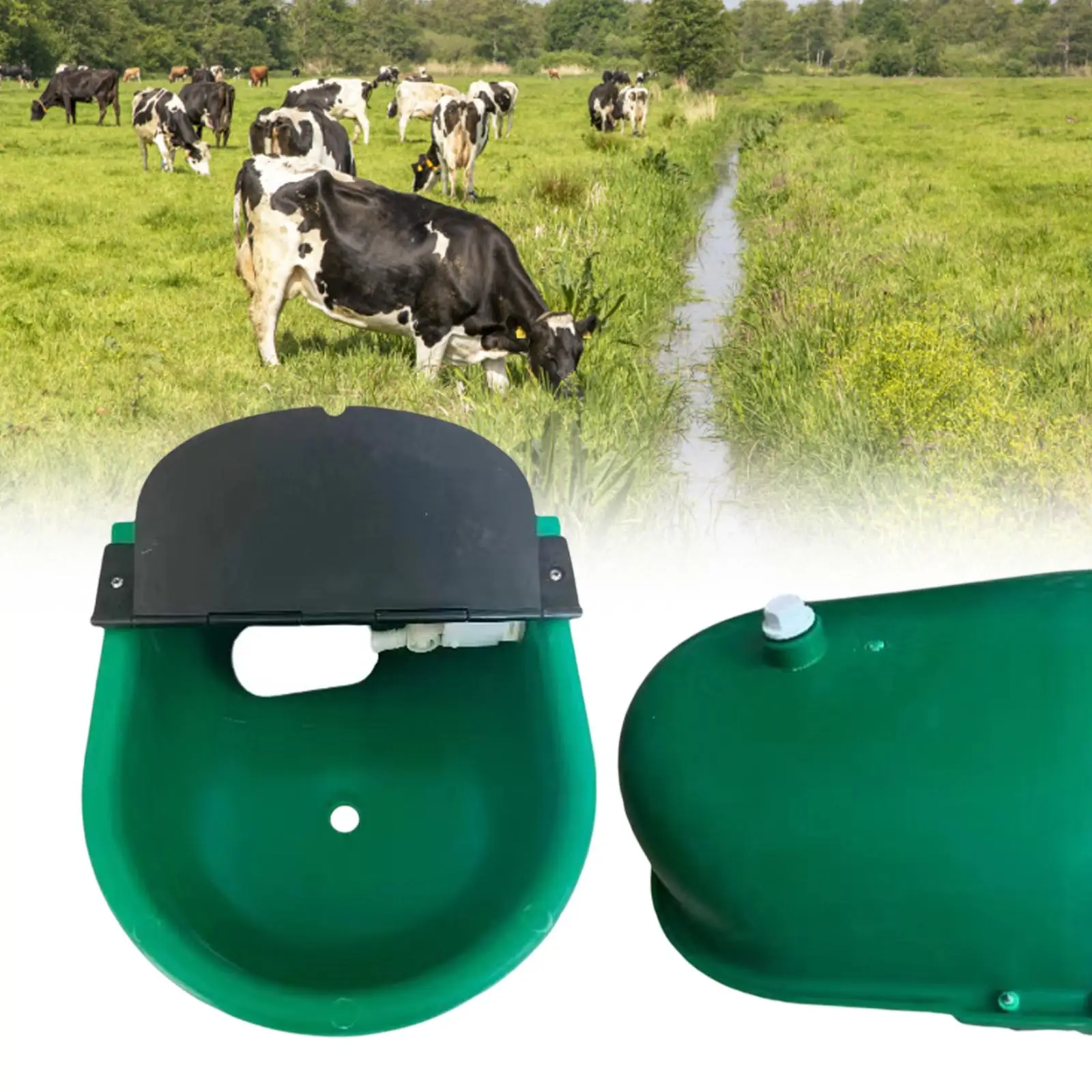 Automatic Horse Drinking Water Bowl Drinking Cup Livestock Waterer ...
