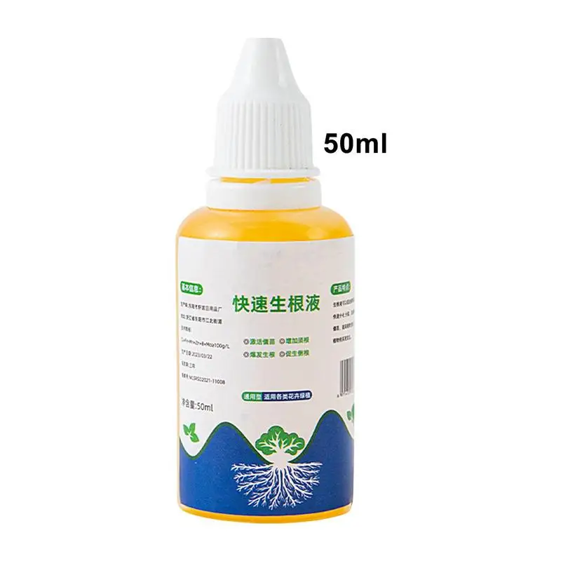 Store Home Products Getaway Deals Feedback