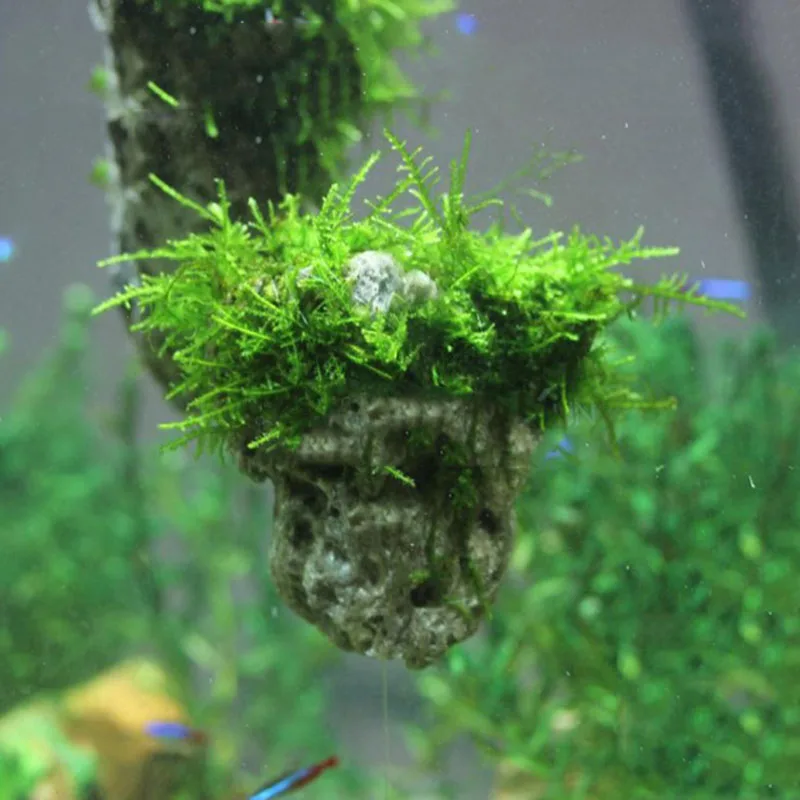 Small-Size-5cm-Natural-Unique-Shape-Aquarium-Fish-Tank-Floating-Rock ...