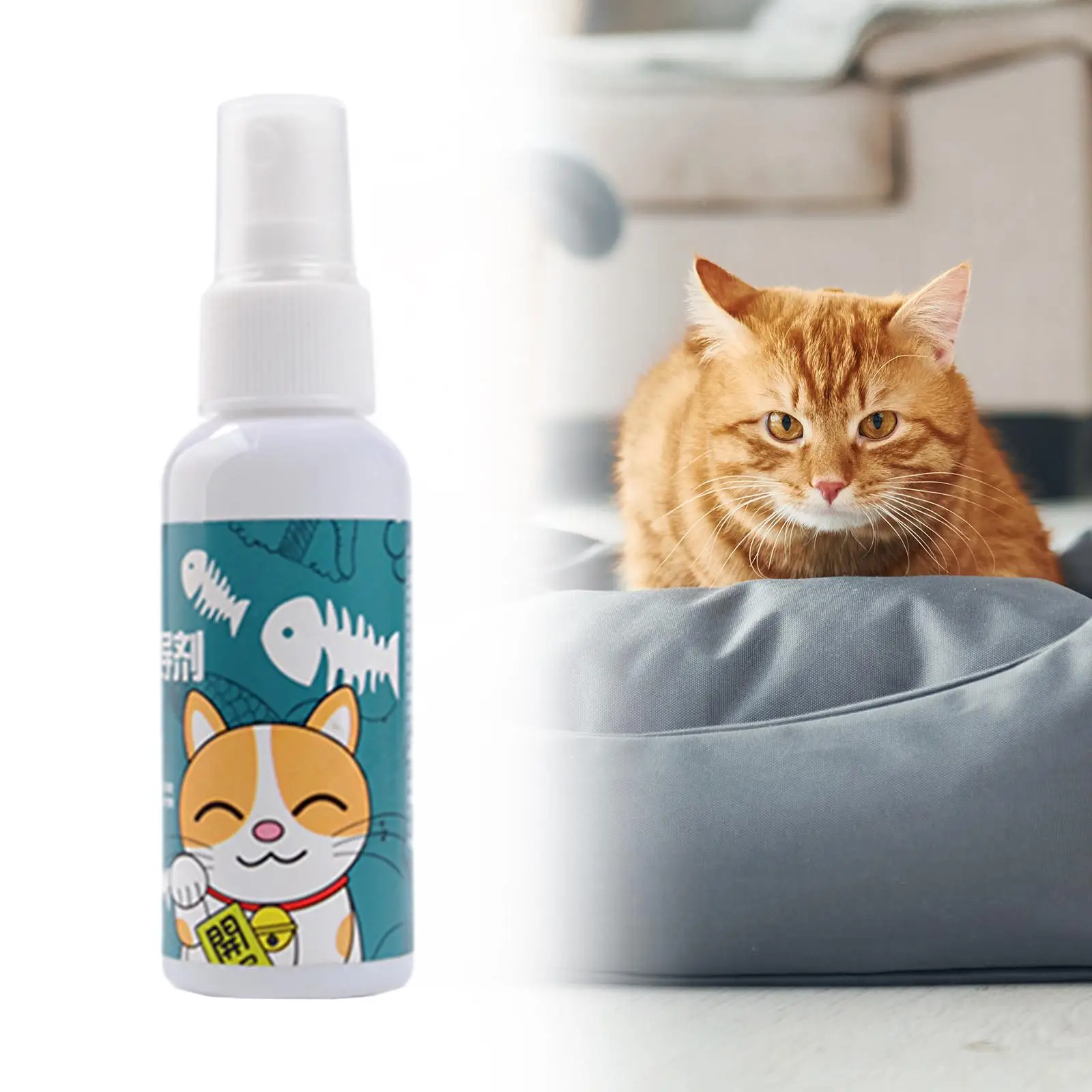 Catnip-Spray-for-Cats-Interactive-Excitement-Kitten-Behaviour-Spray-Pet ...