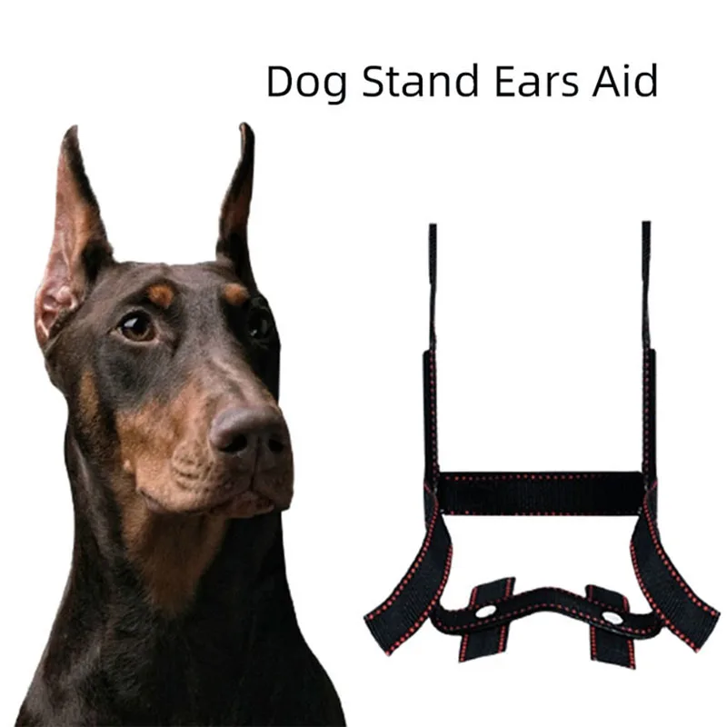 Doberman Ear Cropping Chart