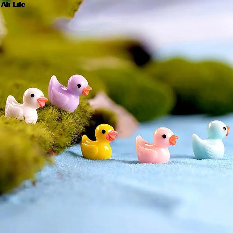 10pcs Mini Duck Diy Garden Miniature Micro Landscape Succulent Plant ...
