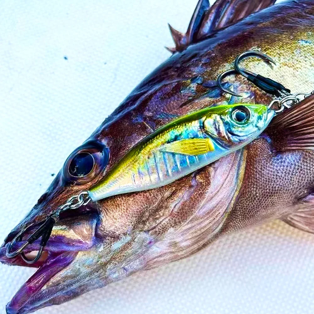 10g-15g-20g-25g-30g-35g-40g-60g-80g-Offshore-Jigging-3D-Printing-Metal ...