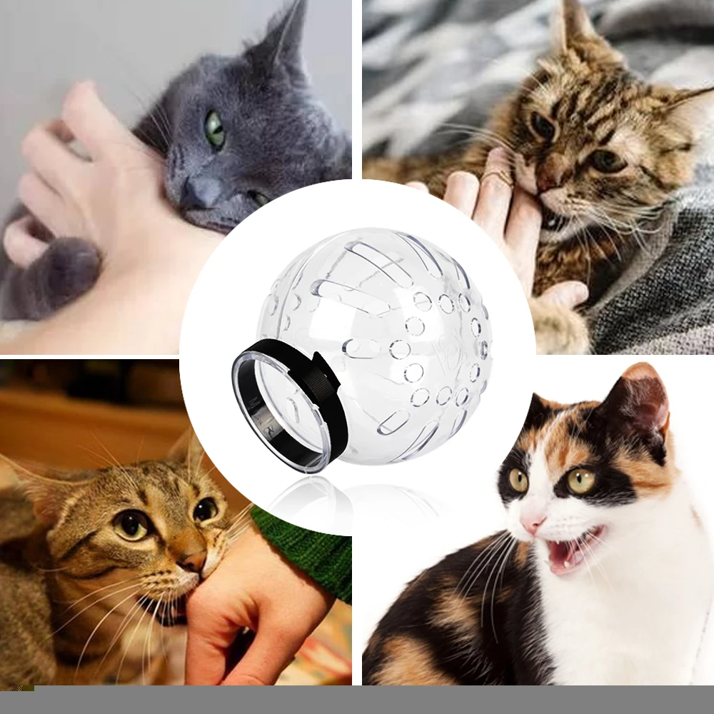 Cat Anti-Bite Hood | That's So Fetch!