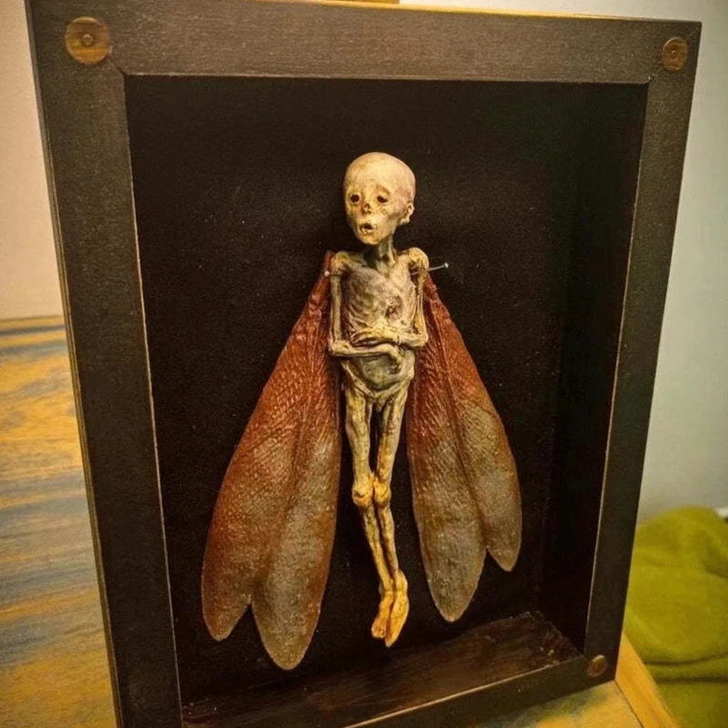 Caja-de-sombra-de-hada-muerta-estatua-decorativa-de-taxidermia-esp ...