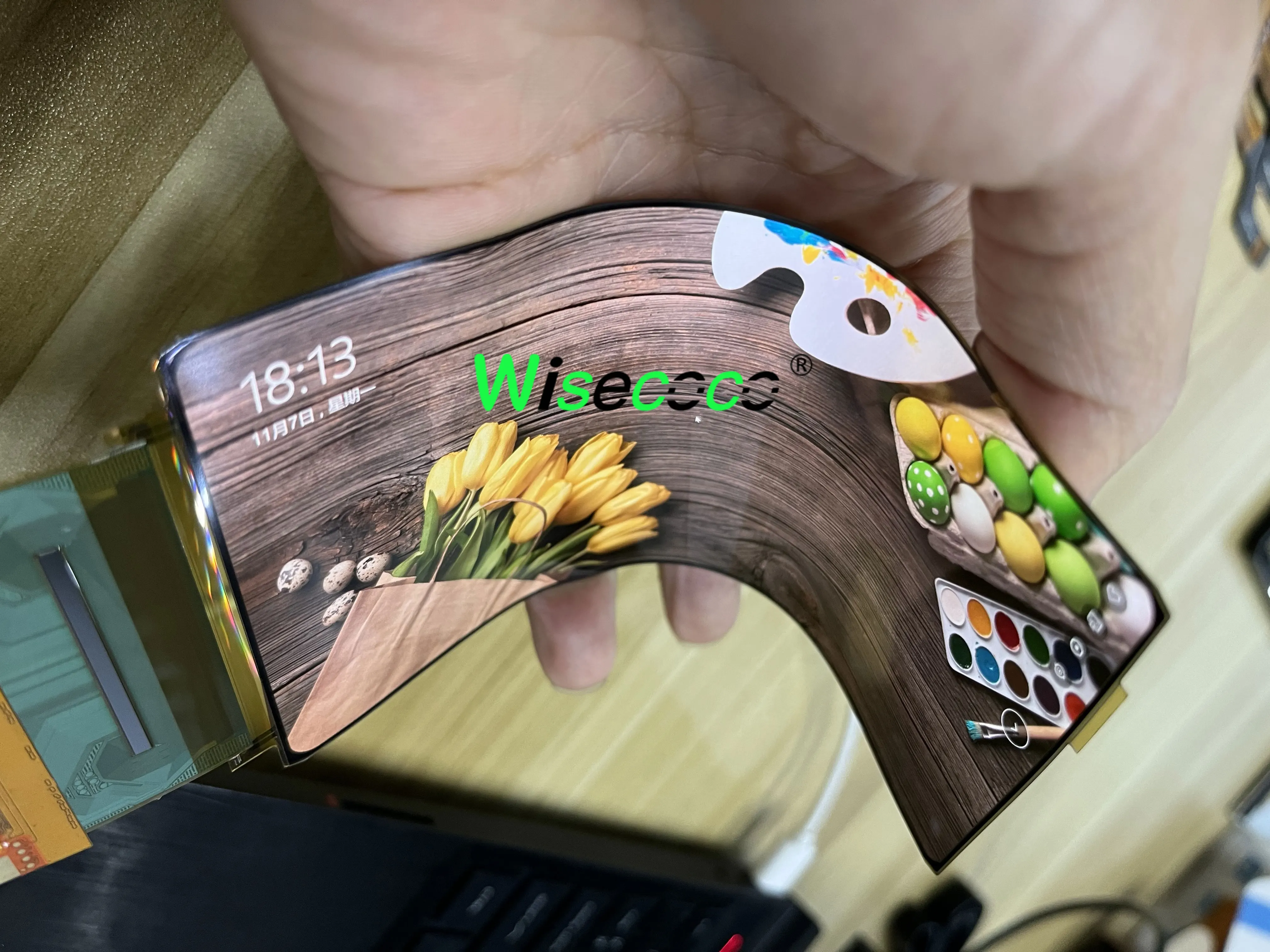 Flexible Display Companies
