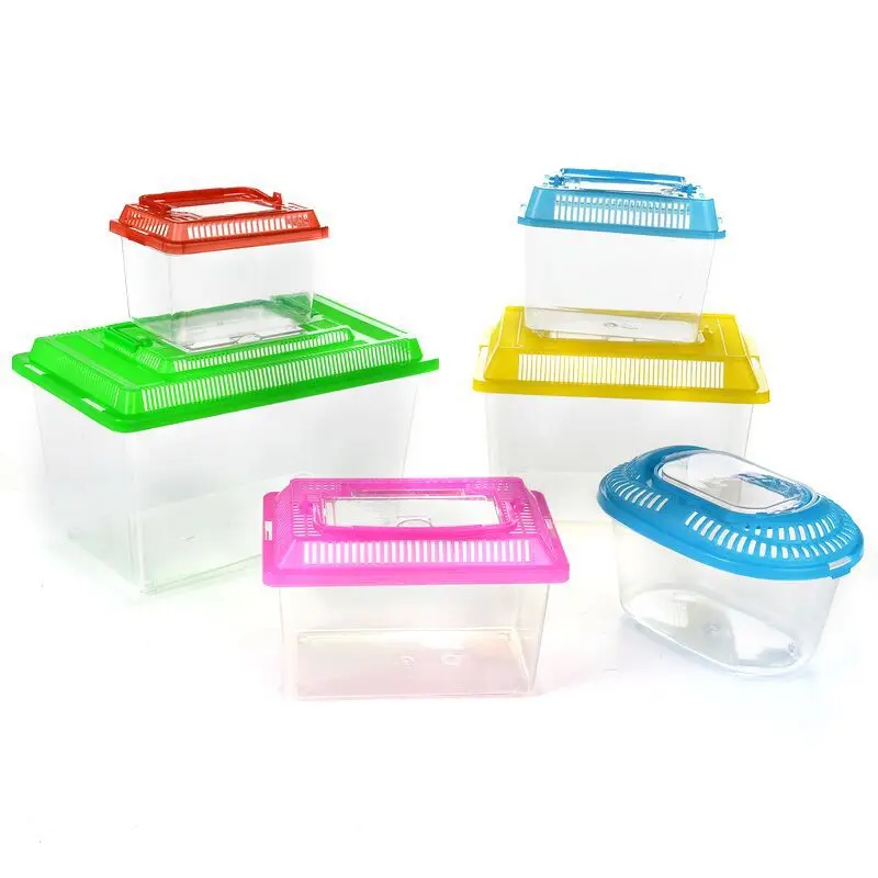 Portable-Handheld-Plastic-Fish-Tank-Transparent-Cutout-Design-For ...