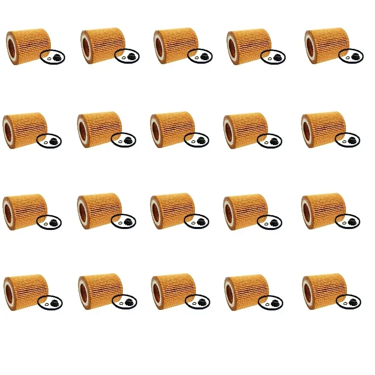 20pcs Oil Filter Kit 11427953125 For BMW F10 F11 F20 F21 F30 F31 F34 ...