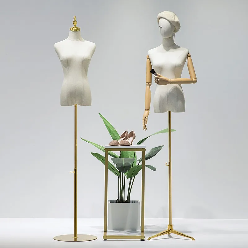 Clothing Manikins Display