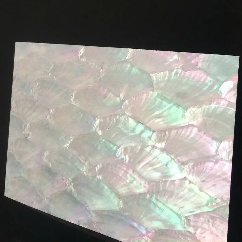 Hoja-laminada-de-concha-de-abul-n-Natural-Material-para-decoraci-n-del ...