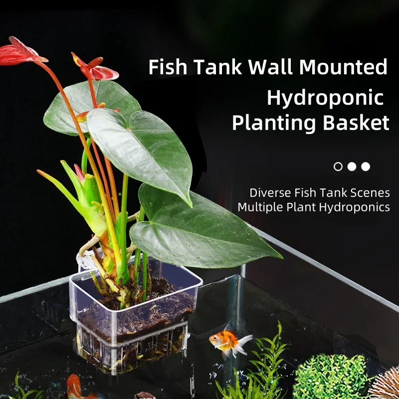 Hanging Aquarium Planter Cups Wall Mounted Aquatic Plants Holder ...