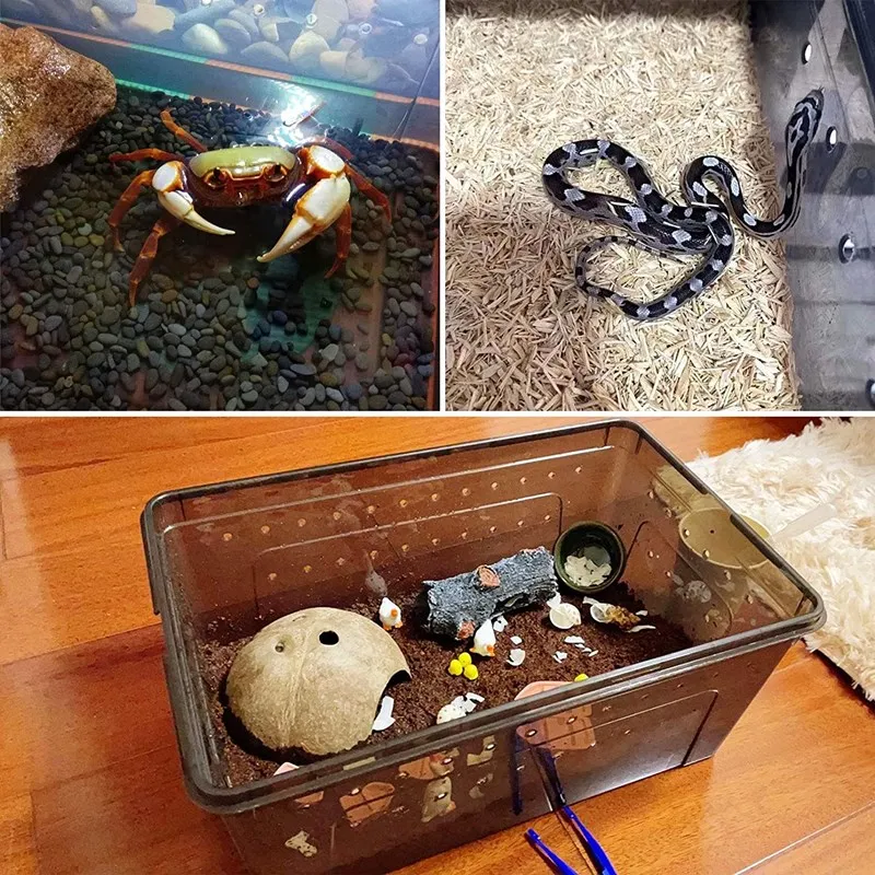 Diy Hermit Crab Habitat