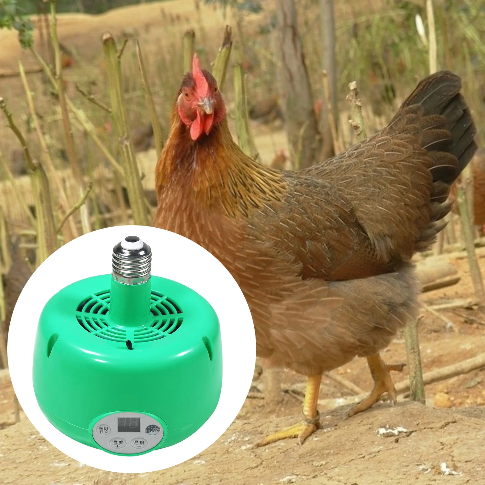Animal Heating Lamp Pet Heater Warm Light Chicken Poultry Thermostatic ...
