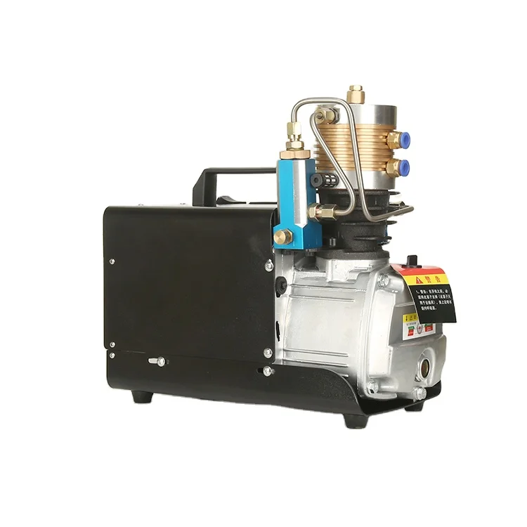 Compresor De Aire El Ctrico Pcp De Alta Presi N 4500 Psi 220v Para