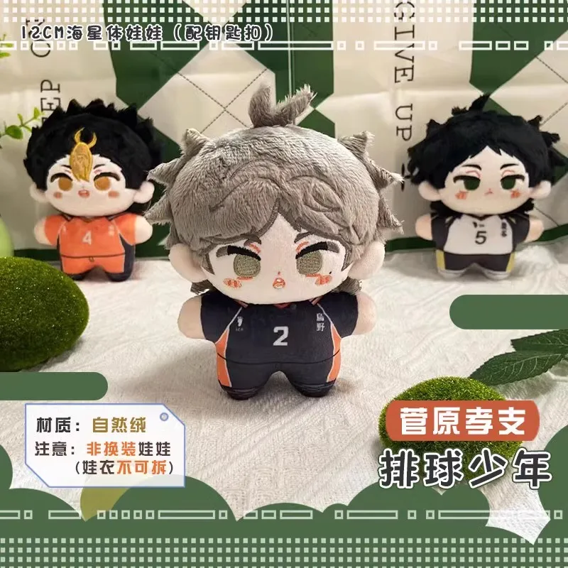Haikyuu-Volleyball-plush-Sugawara-Koush-Yu-Nishinoya-Shoyo-Hinata ...