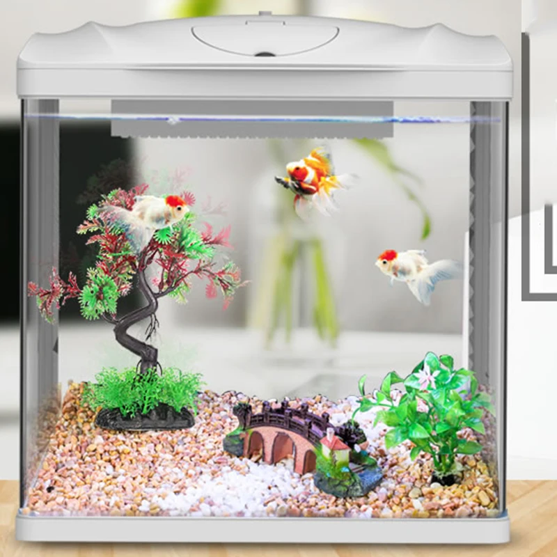 Modern Fish Bowl