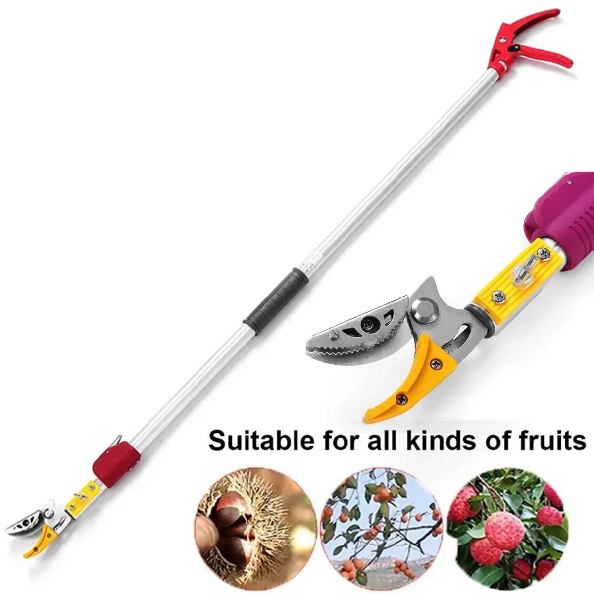 2-2m-Max-Cutting-1-2-inch-Extra-Long-Reach-Pruner-Cut-and-Hold-Bypass ...
