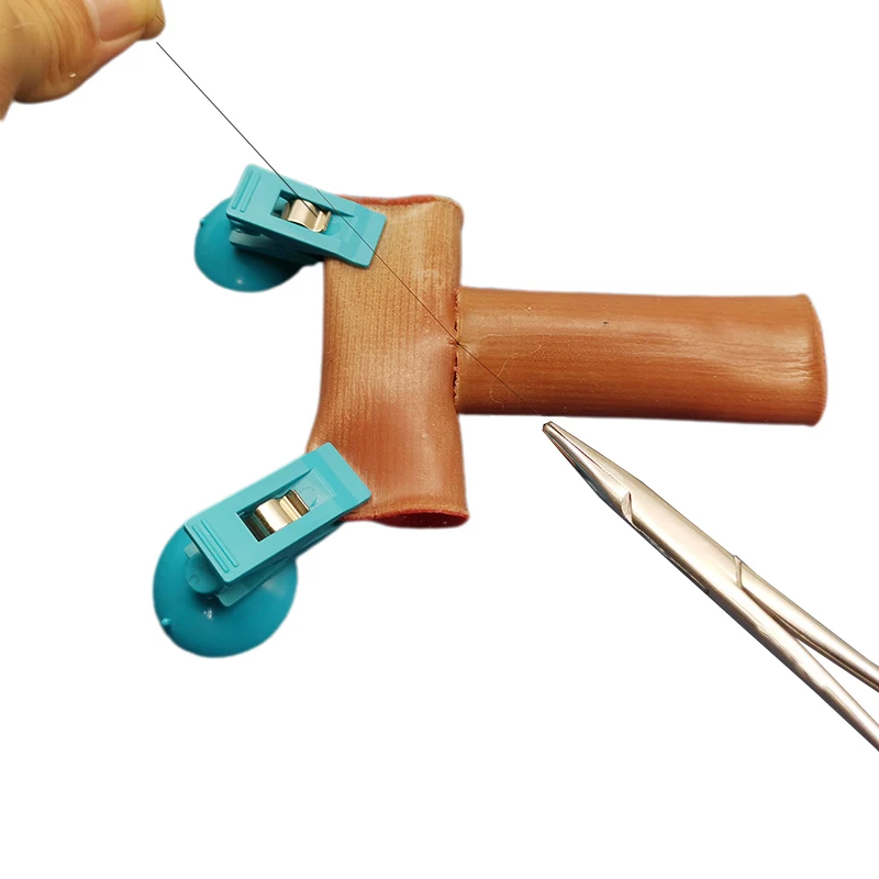 Medical-students-suture-practice-simulation-intestinal-anastomosis ...