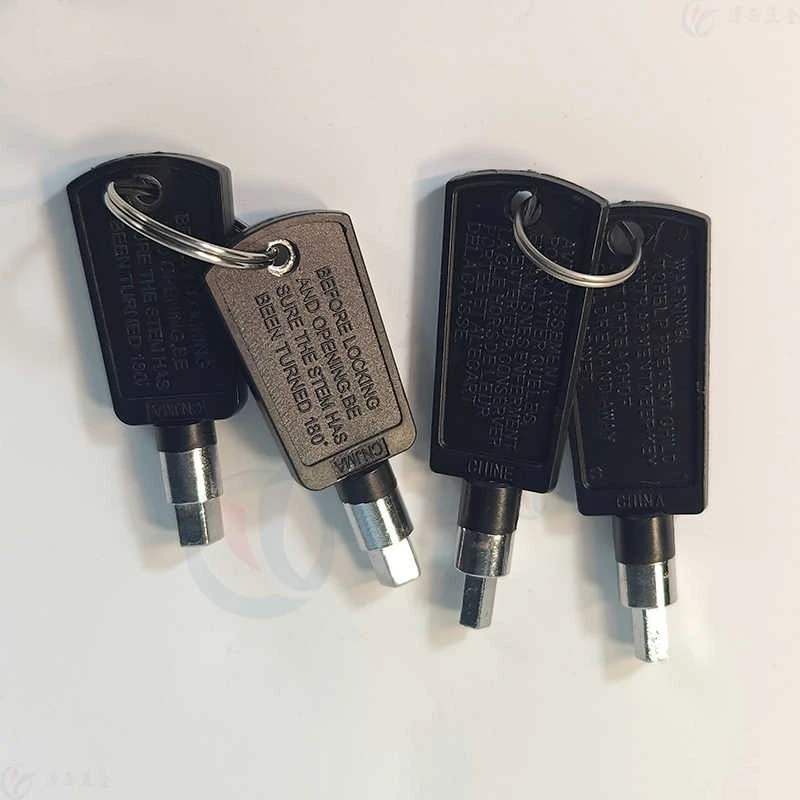 2Pcs Freezer Door Key Lock Pentagon Keys Part Accessories for Haier ...