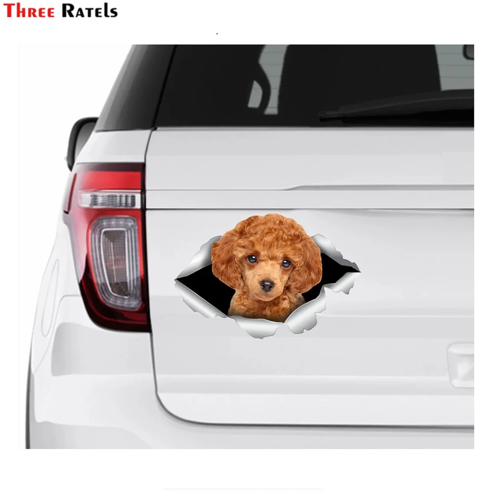 Chevrolet Rear Window Graphics Animal