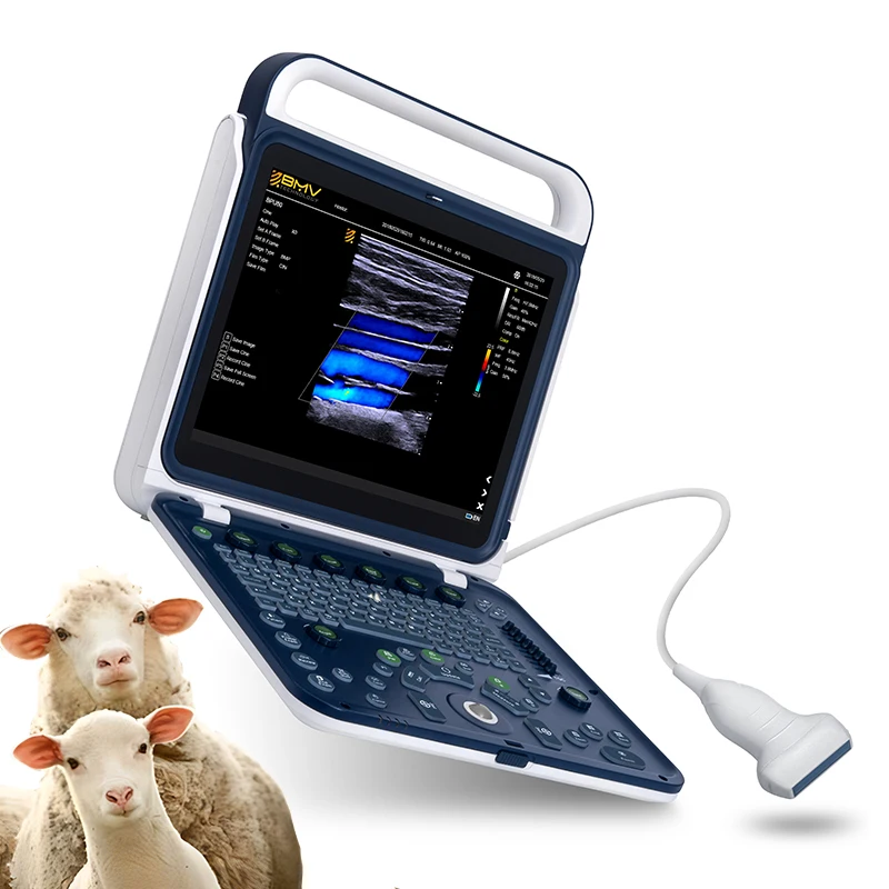Portable-Digital-Veterinary-Ultrasound-Scanner-High-Definition-Color ...